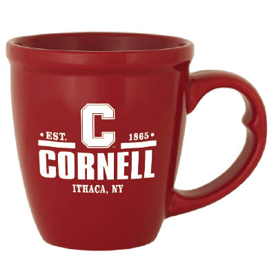 Plaza Copper Insulated Desk Mug- Spirit Products Ltd.