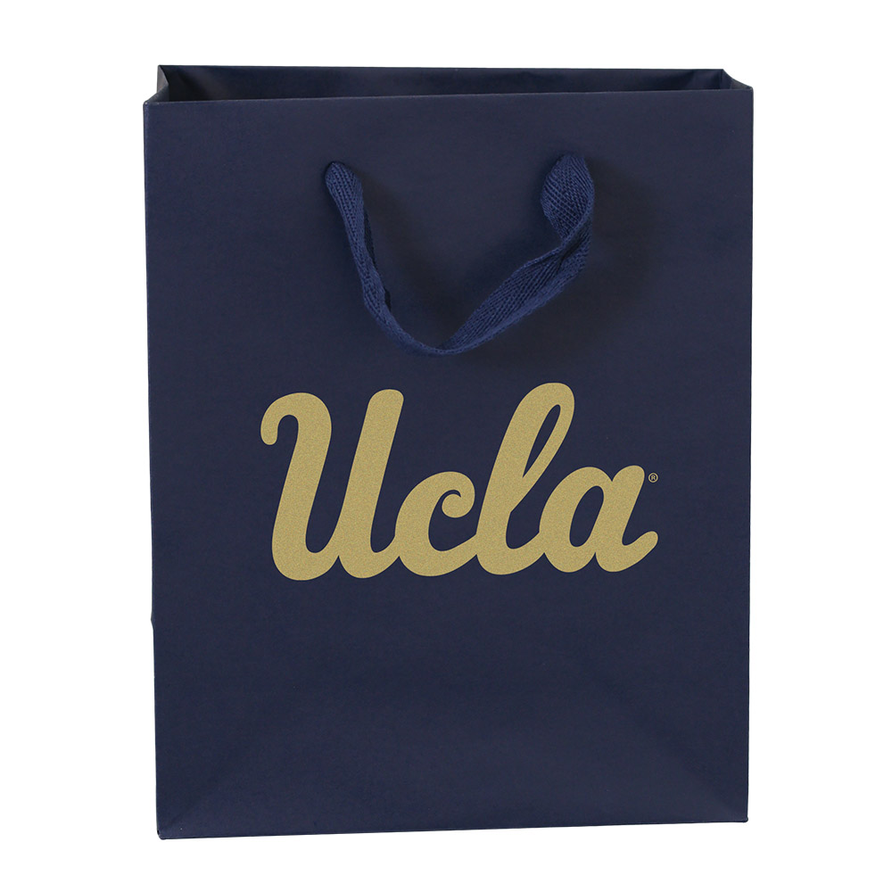Glitter Gift Bag- Spirit Products Ltd.